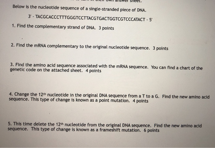 Solved Below is the nucleotide sequence of a single-stranded | Chegg.com