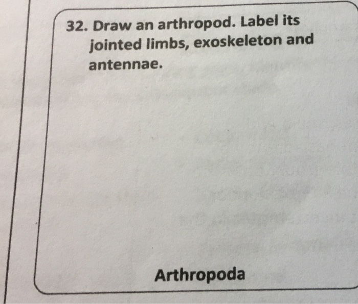 Solved 32. Draw an arthropod. Label its jointed limbs, | Chegg.com