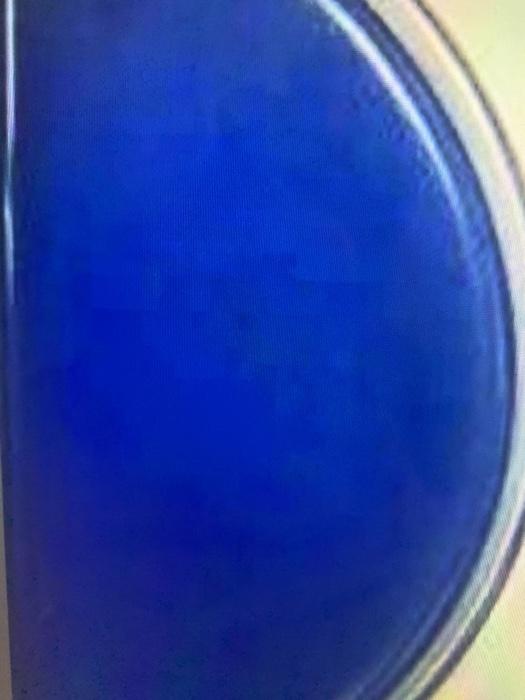 Solved For the spirit blue test is this a positive or | Chegg.com