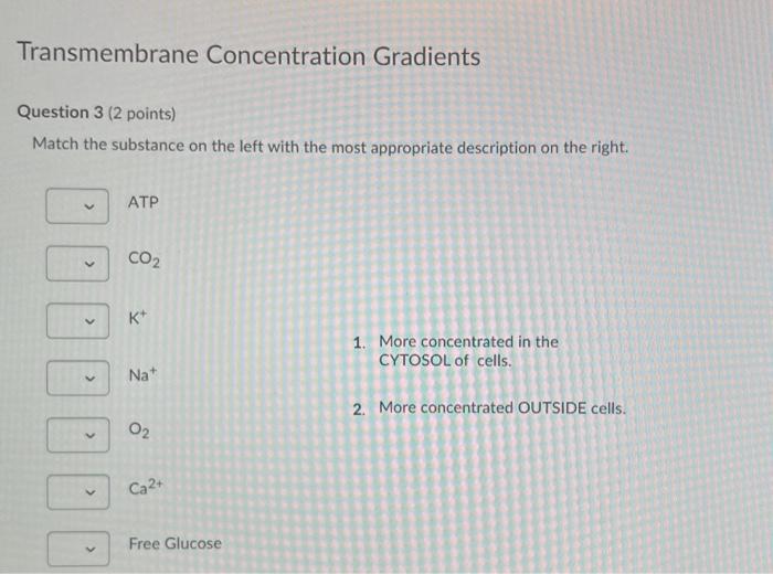 Solved Transmembrane Concentration Gradients Question 3 (2 | Chegg.com