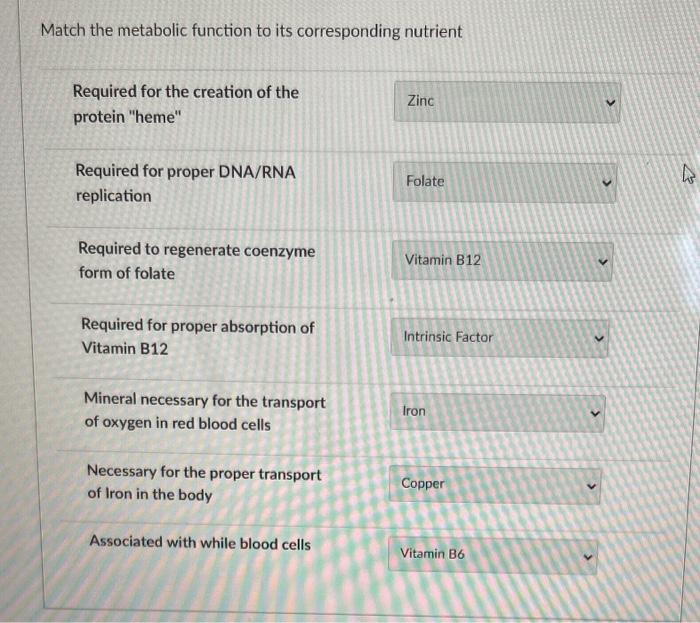 Solved Match the metabolic function to its corresponding | Chegg.com