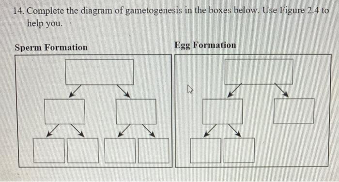 Solved Draw the images on a seperate peice of paper with the | Chegg.com