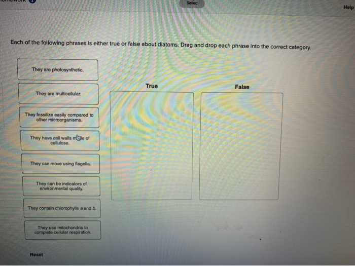 Solved Saved Help Each of the following phrases is either | Chegg.com