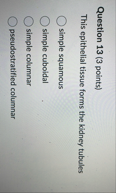 Solved Question 13 (3 ﻿points)This epithelial tissue forms | Chegg.com