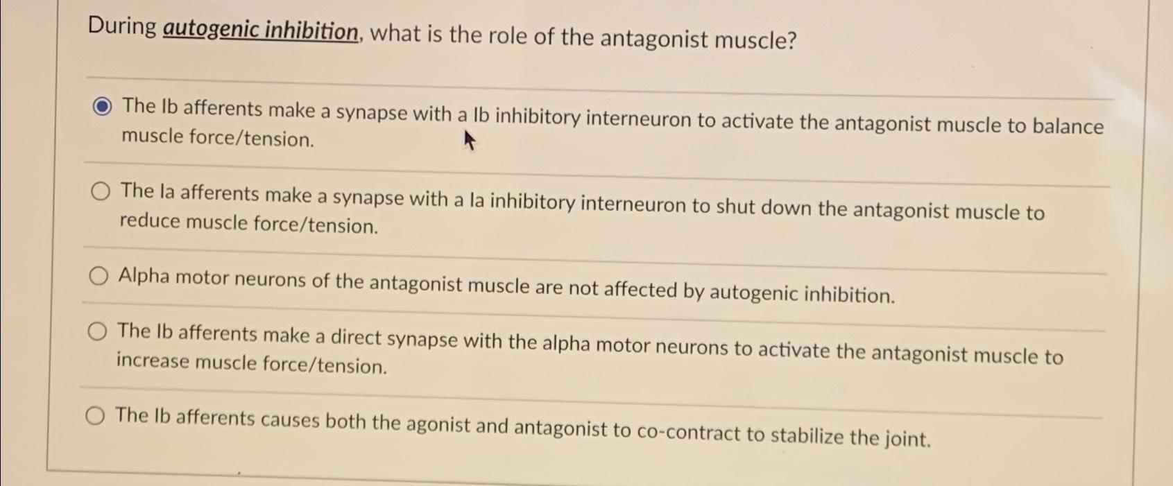 Solved During autogenic inhibition, what is the role of the | Chegg.com