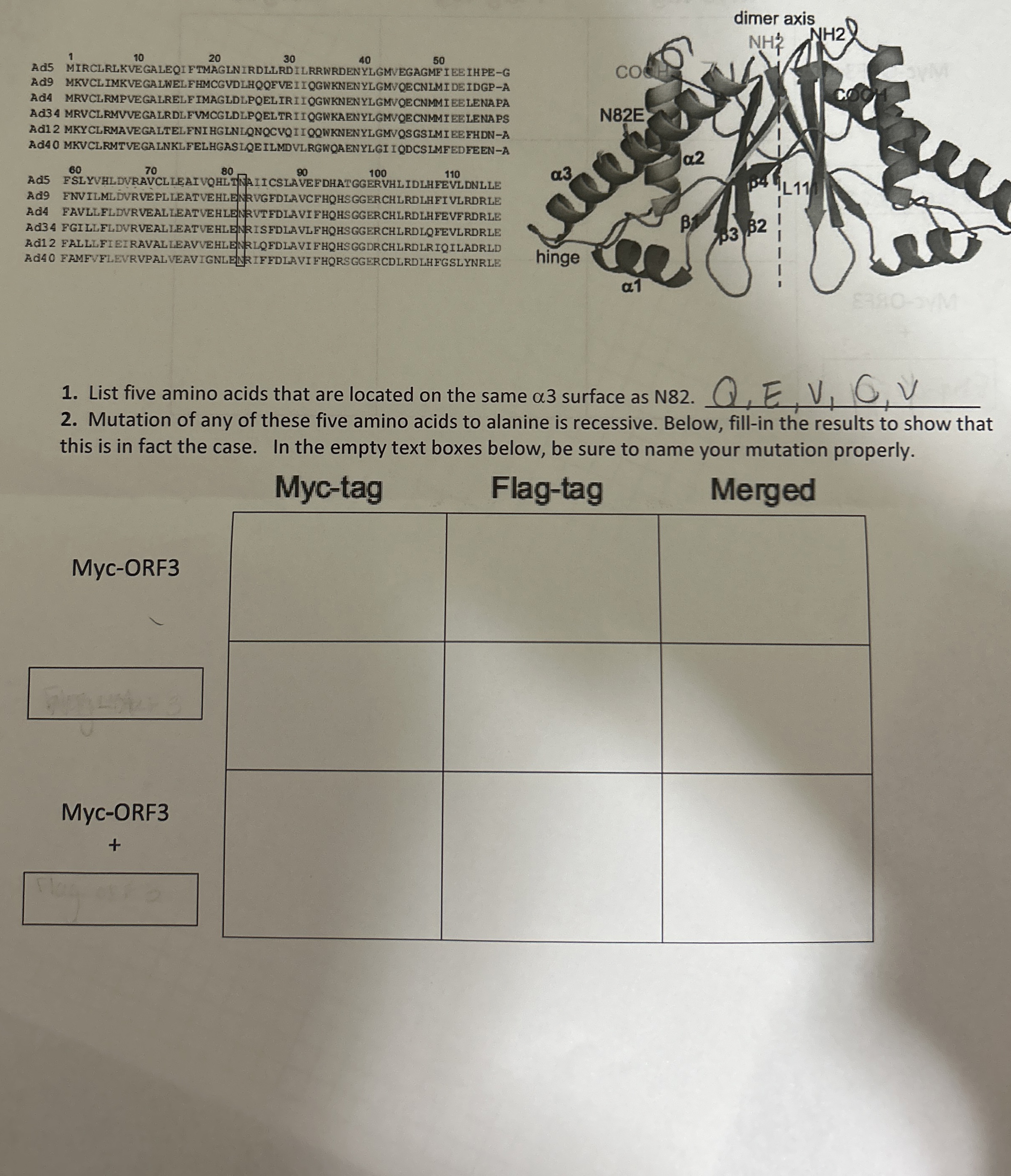 Solved by an EXPERT I need help on how I am supposed to name the empty | Chegg.com