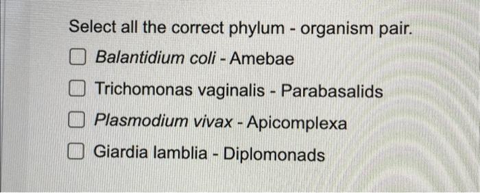 Solved Select all the correct phylum - organism pair. | Chegg.com