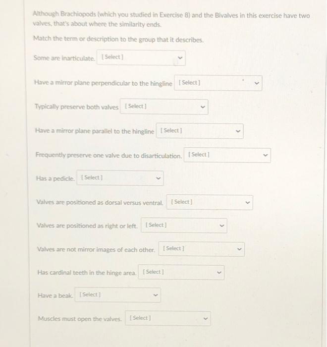 Solved valves, that's about where the similarity ends. Match | Chegg.com