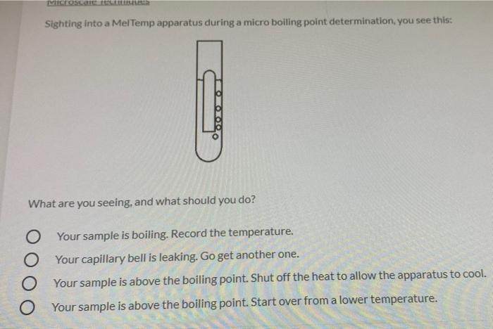 Solved Sighting into a Mel Temp apparatus during a micro | Chegg.com