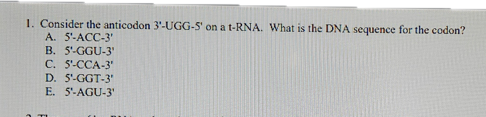 Solved Consider the anticodon 3'-UGG-5' ﻿on a t-RNA. What is | Chegg.com