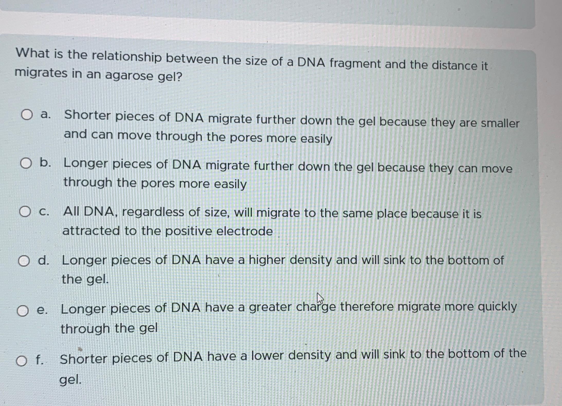 Solved What is the relationship between the size of a DNA | Chegg.com