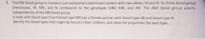 Solved 3. The MN blood group in humans is an autosomal | Chegg.com