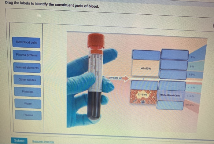 Solved Drag the labels to identify the constituent parts of | Chegg.com