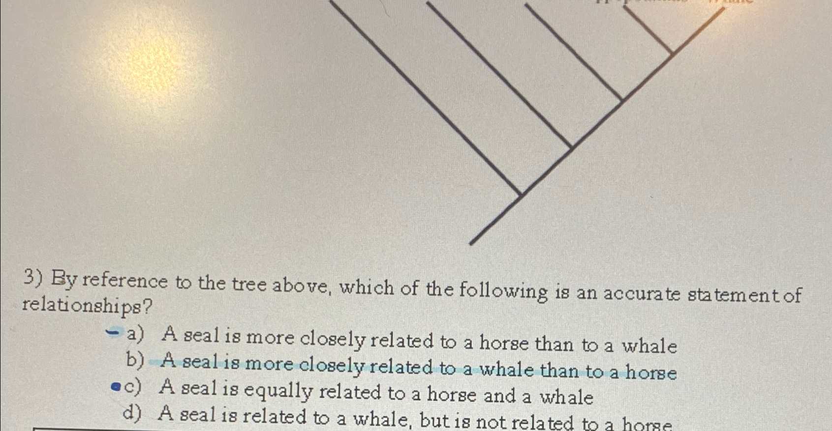 Solved By reference to the tree above, which of the | Chegg.com
