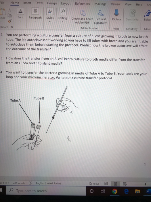 Solved File Home Insert Draw Design Layout References | Chegg.com