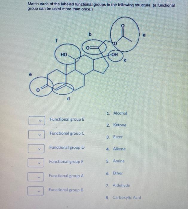 Solved Match each of the labeled functional groups in the | Chegg.com