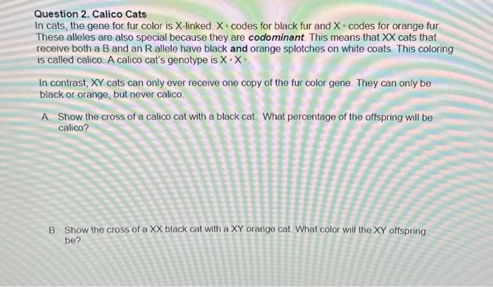 Solved is called calico. A calico cat's genotype is X⋅X. In | Chegg.com