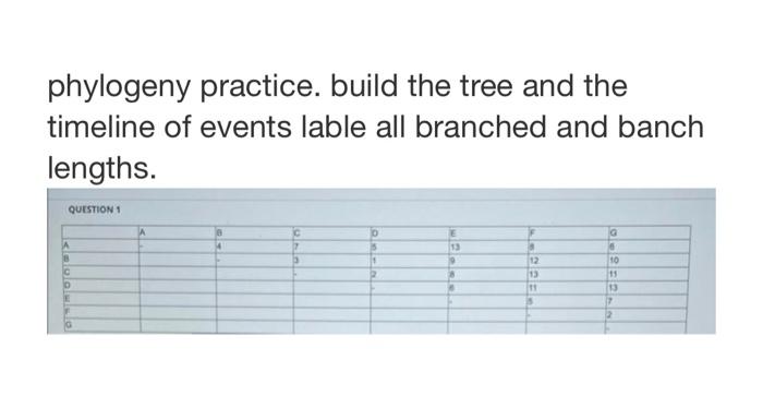 phylogeny practice. build the tree and the timeline | Chegg.com