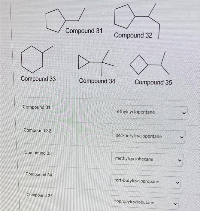 Solved Which of the structures in the matching questions | Chegg.com