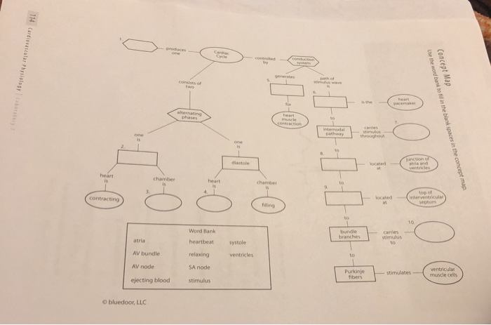 Solved Concept Map Use the word bank to fill in the blank | Chegg.com