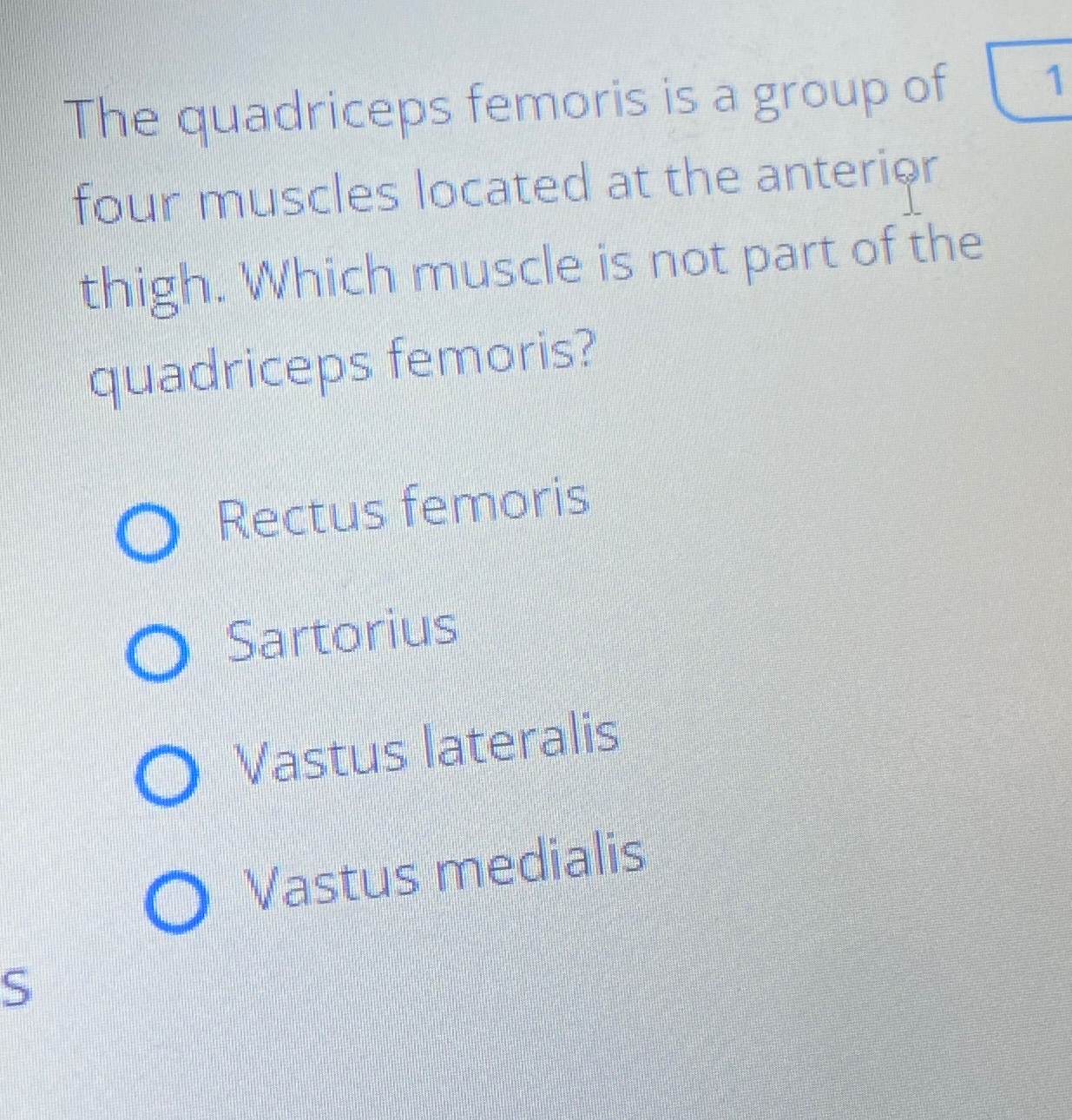 Solved The quadriceps femoris is a group of four muscles | Chegg.com