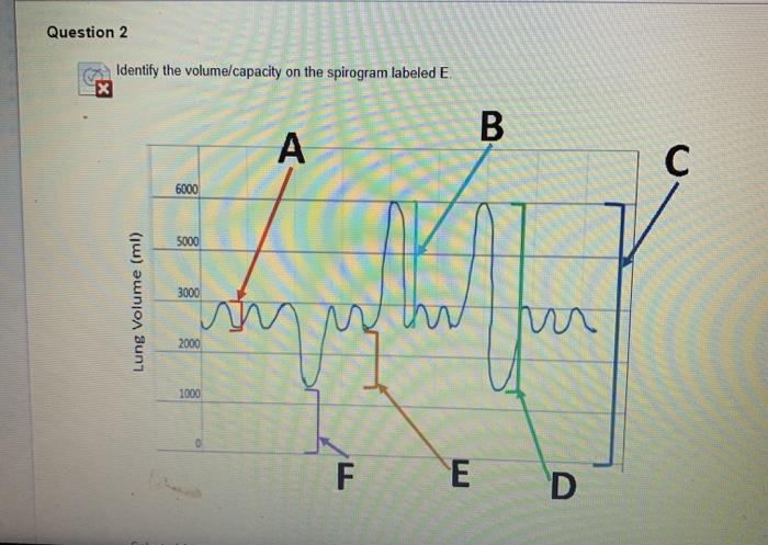 Solved Question 2 Identify the volume/capacity on the | Chegg.com