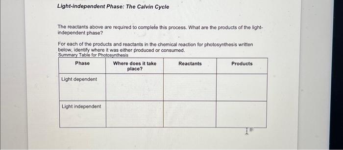 Light-independent Phase: The Calvin Cycle The | Chegg.com