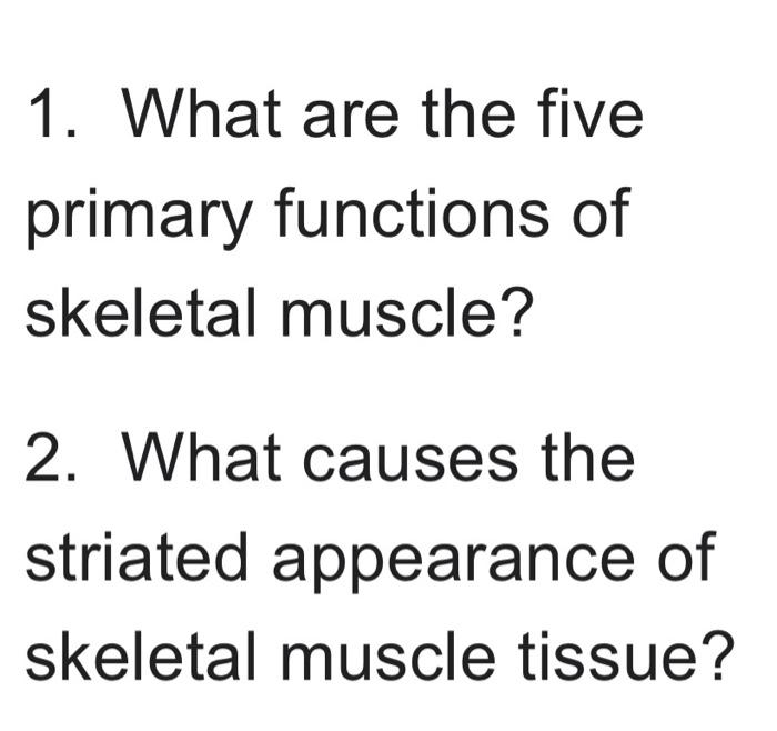Solved What are the five primary functions of skeletal | Chegg.com