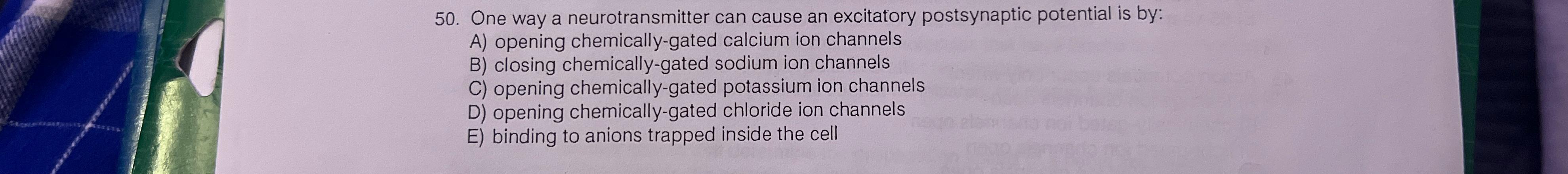 Solved One way a neurotransmitter can cause an excitatory | Chegg.com