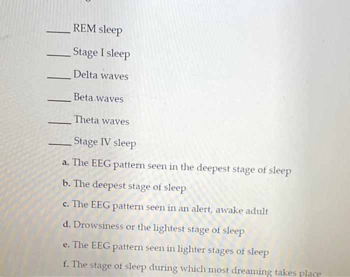 Solved REM sleep Stage I sleep Delta waves Beta waves Theta | Chegg.com