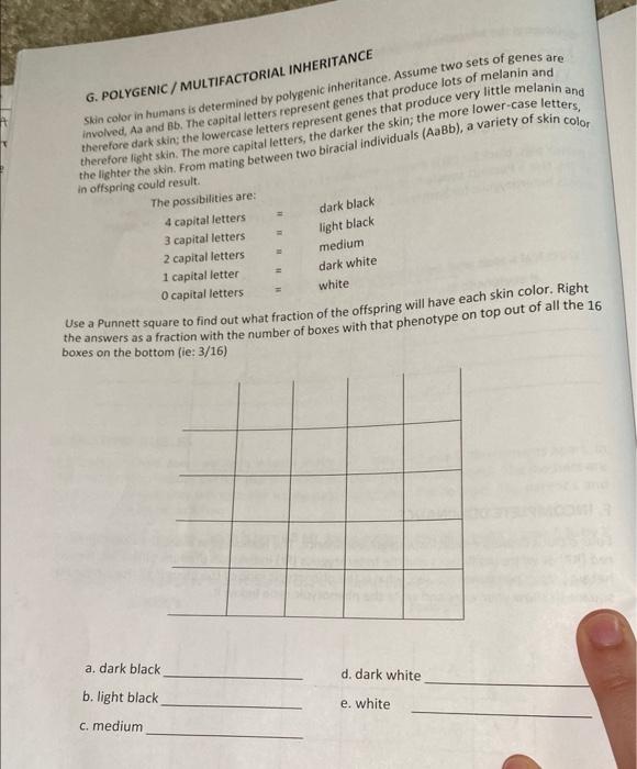 Solved G. POLYGENIC / MULTIFACTORIAL INHERITANCE Skin color | Chegg.com