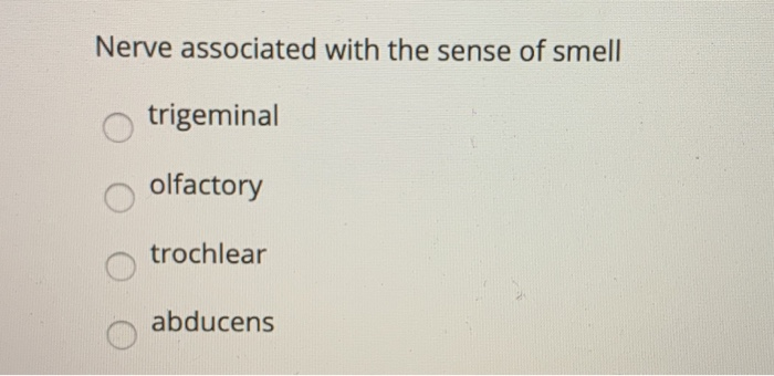 Solved Nerve associated with the sense of smell trigeminal o | Chegg.com