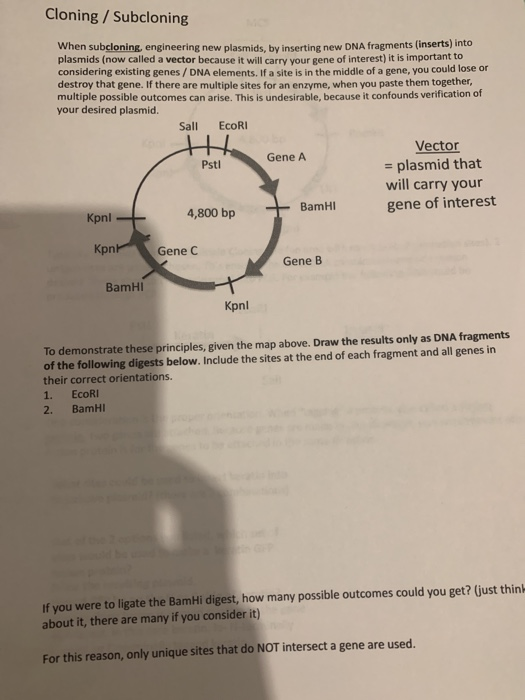 Solved Cloning / Subcloning When subcloning engineering new | Chegg.com