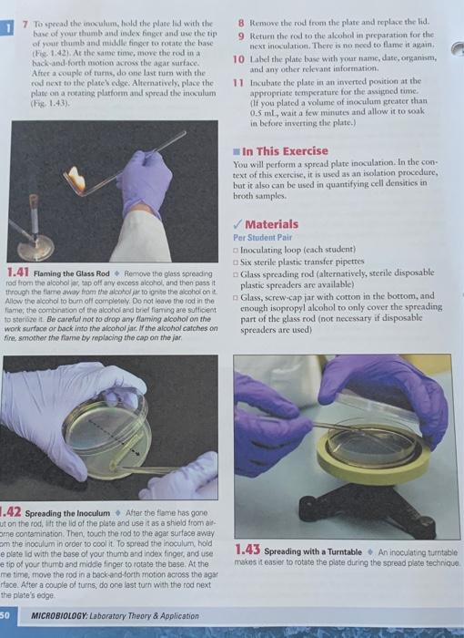 Solved Spread Plate Method of Isolation OBSERVATIONS AND | Chegg.com