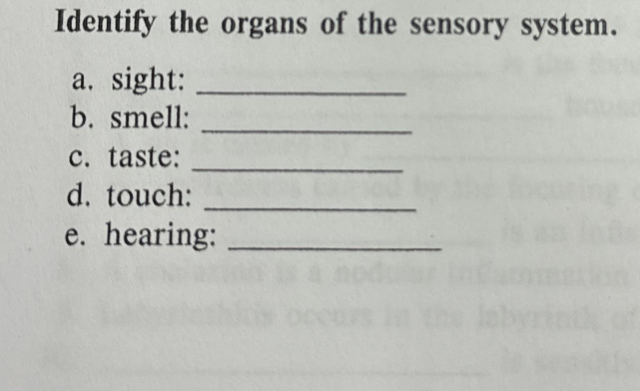 Solved Identify the organs of the sensory system.a. | Chegg.com