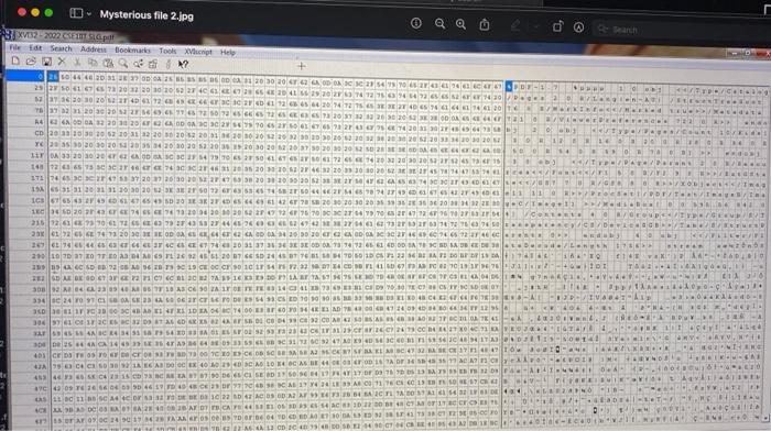 Solved Suggest the type of file, with its contents shown | Chegg.com