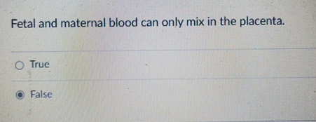 Solved Fetal and maternal blood can only mix in the | Chegg.com