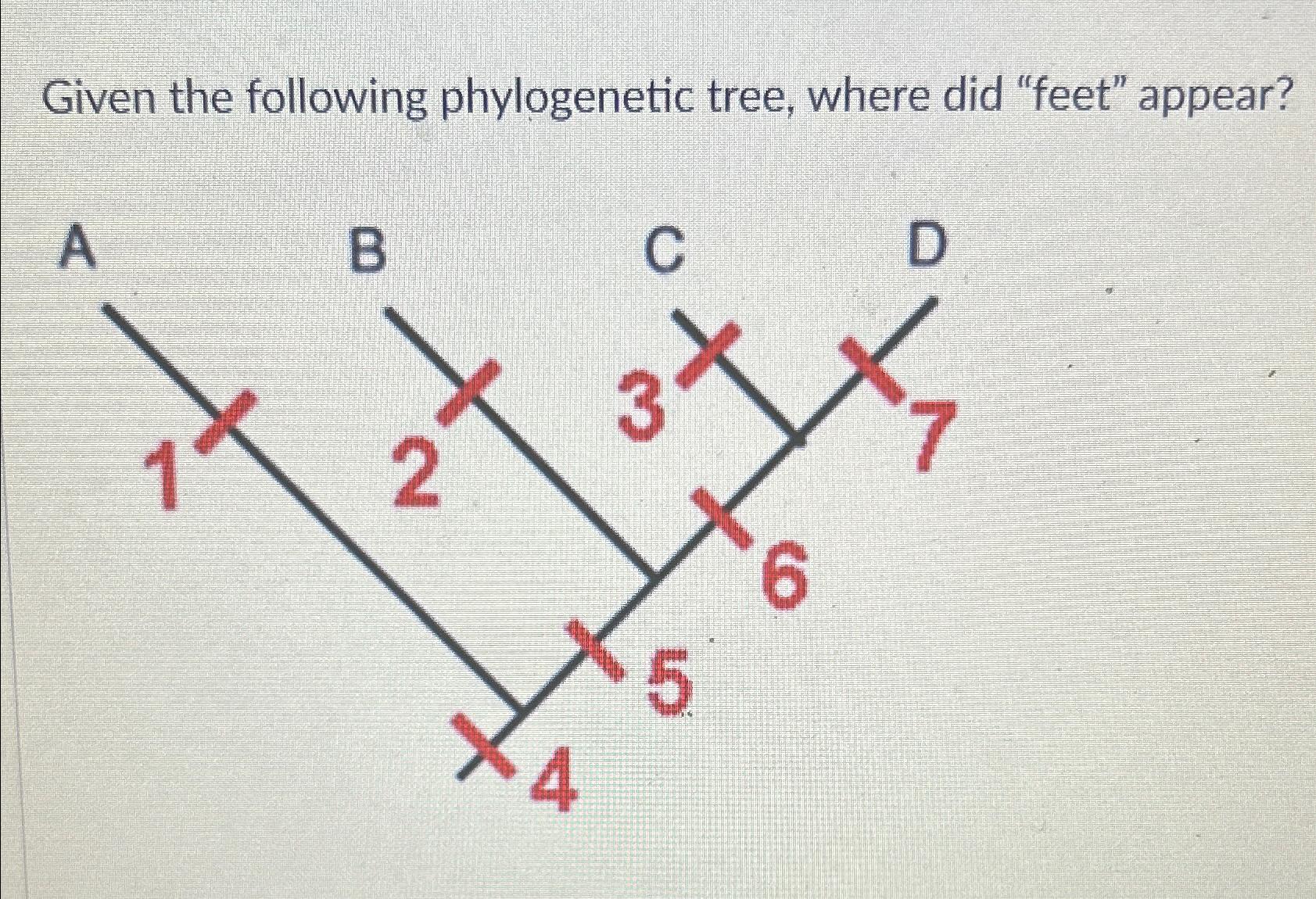 Solved Given the following phylogenetic tree, where did | Chegg.com