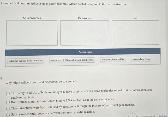 Solved Compare and contrast spliceosomes and ribosomes. | Chegg.com