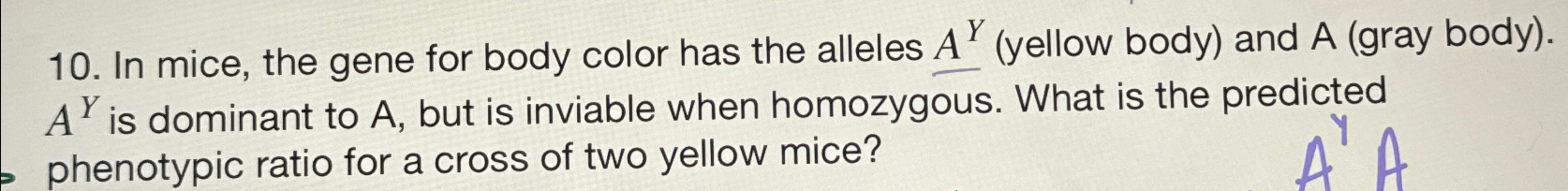 Solved In mice, the gene for body color has the alleles | Chegg.com