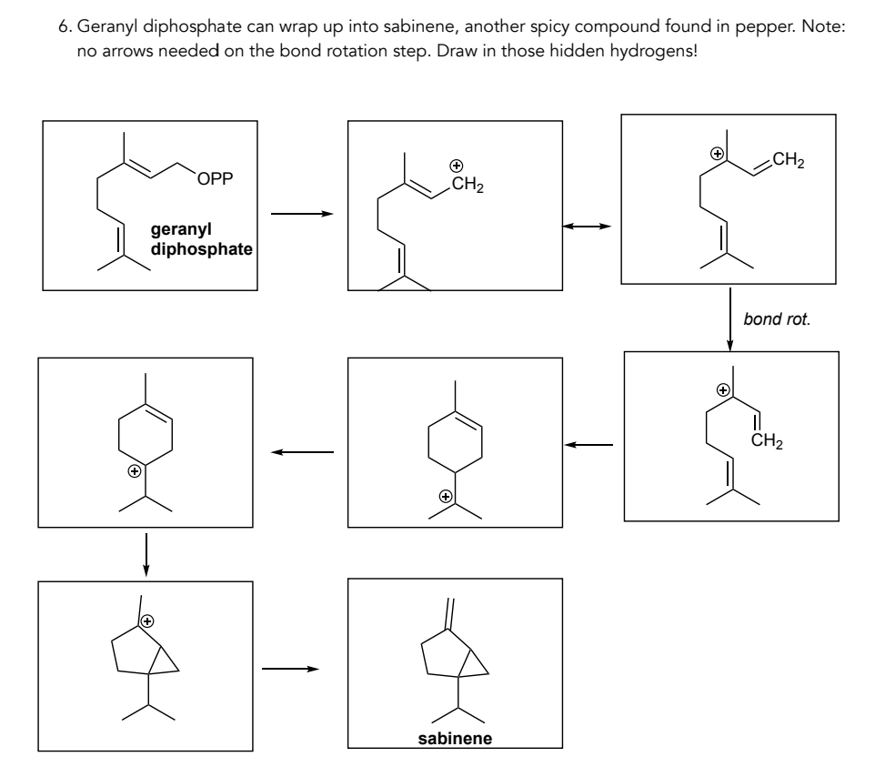 Solved Geranyl diphosphate can wrap up into sabinene, | Chegg.com