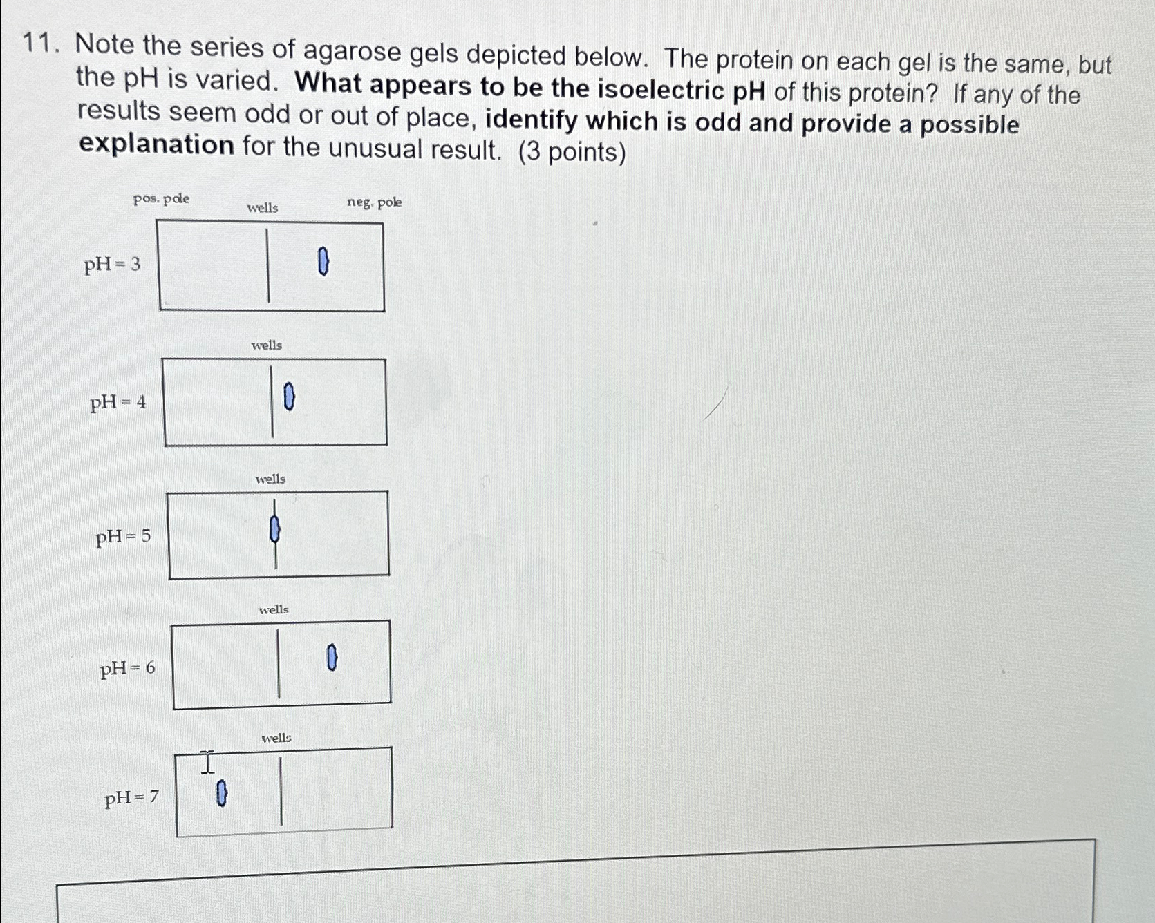 Solved Note the series of agarose gels depicted below. The | Chegg.com