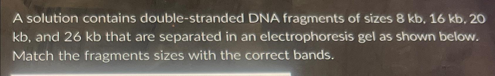 Solved A solution contains double-stranded DNA fragments of | Chegg.com