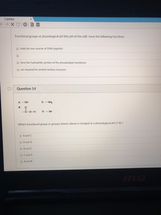 13: Functional groups at physiological pH (the pH of | Chegg.com