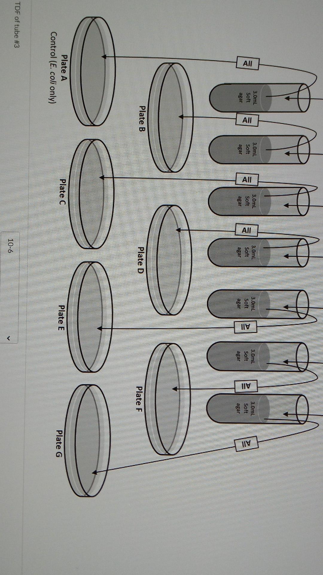 What is the total dilution factor (TDF) of tube #3 | Chegg.com