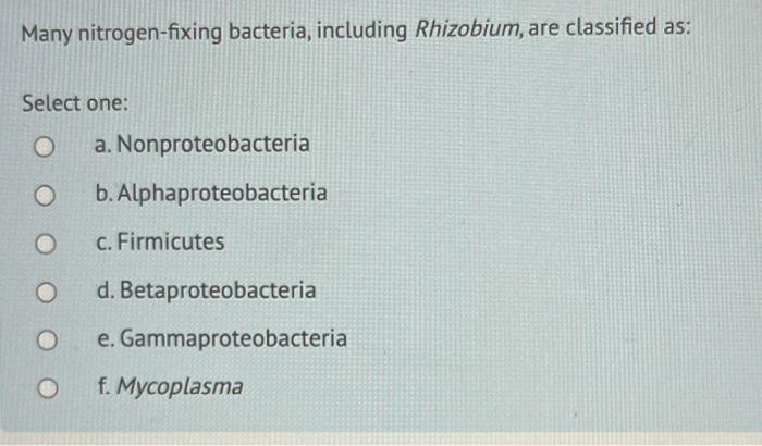 Solved Many nitrogen-fixing bacteria, including Rhizobium, | Chegg.com