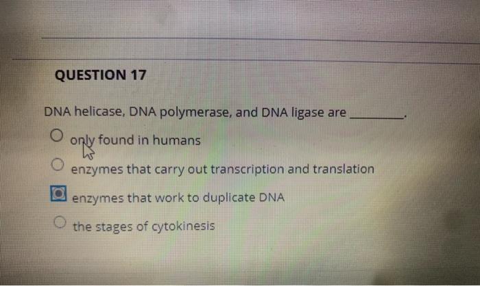 Solved DNA helicase, DNA polymerase, and DNA ligase are only | Chegg.com