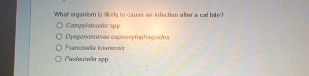 Solved What organism is likely to cause an infection after a | Chegg.com