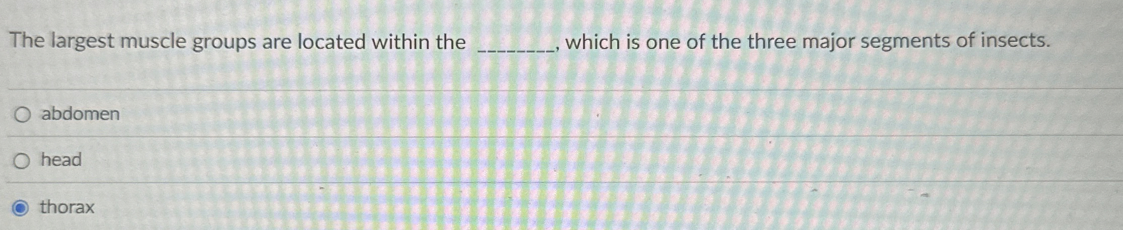 Solved The largest muscle groups are located within thewhich | Chegg.com