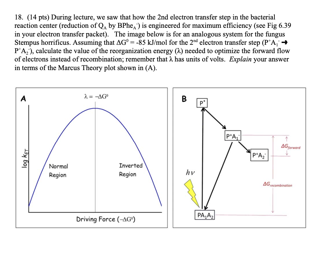 Solved (14 ﻿pts) ﻿During lecture, we saw that how the 2nd | Chegg.com